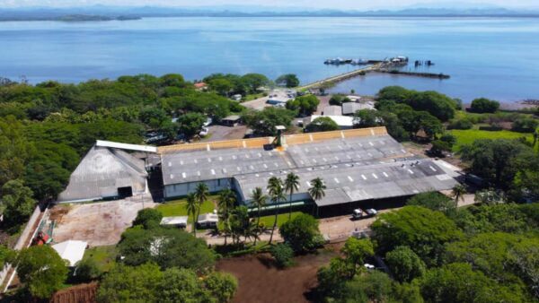 Presencia Regional DISAGRO - Disagro Costa Rica