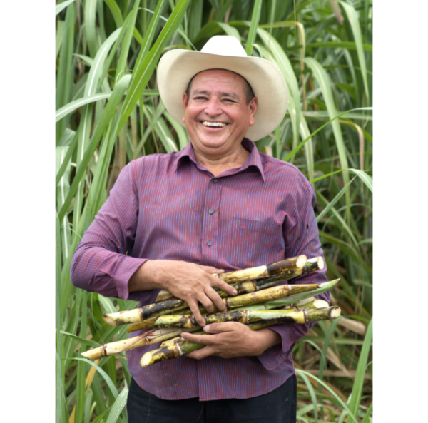 Inicio - Disagro Costa Rica