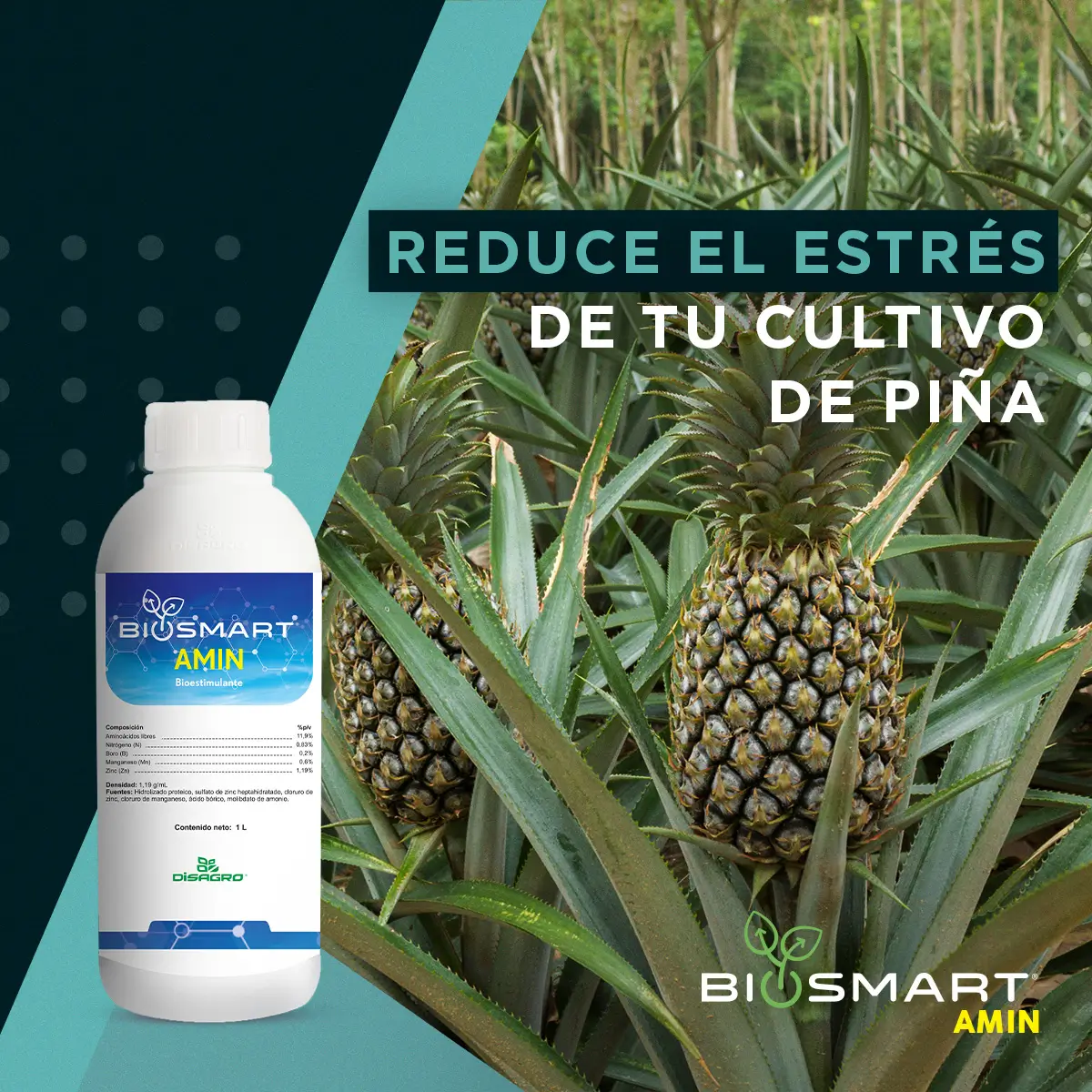 Biosmart® Amin - Disagro Costa Rica